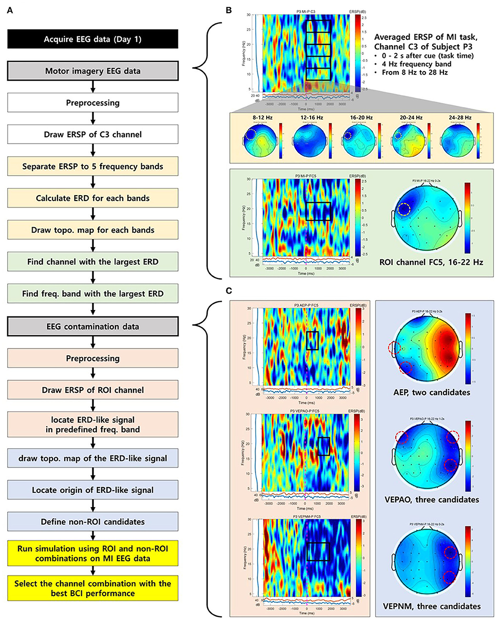 Frontiers | An EEG-based asynchronous MI-BCI system to reduce false ...
