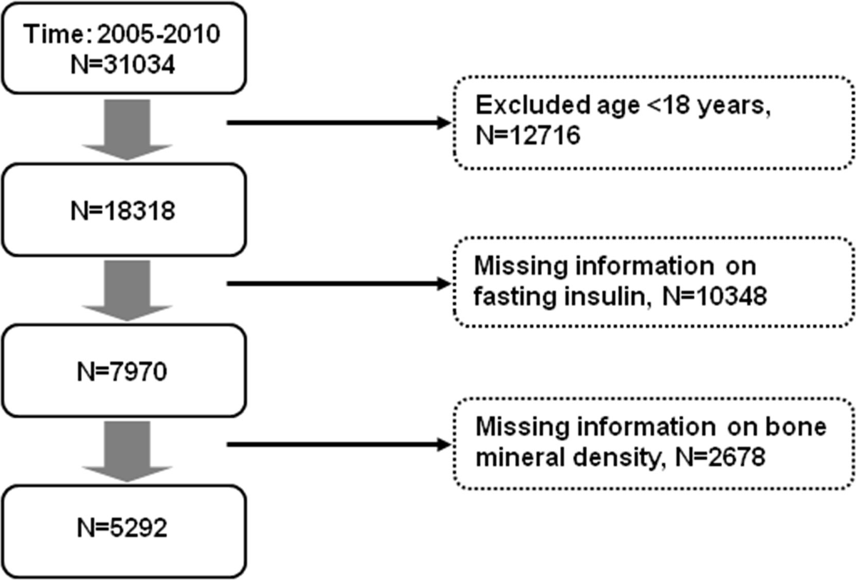Frontiers Associations Of Insulin Resistance And Insulin Secretion