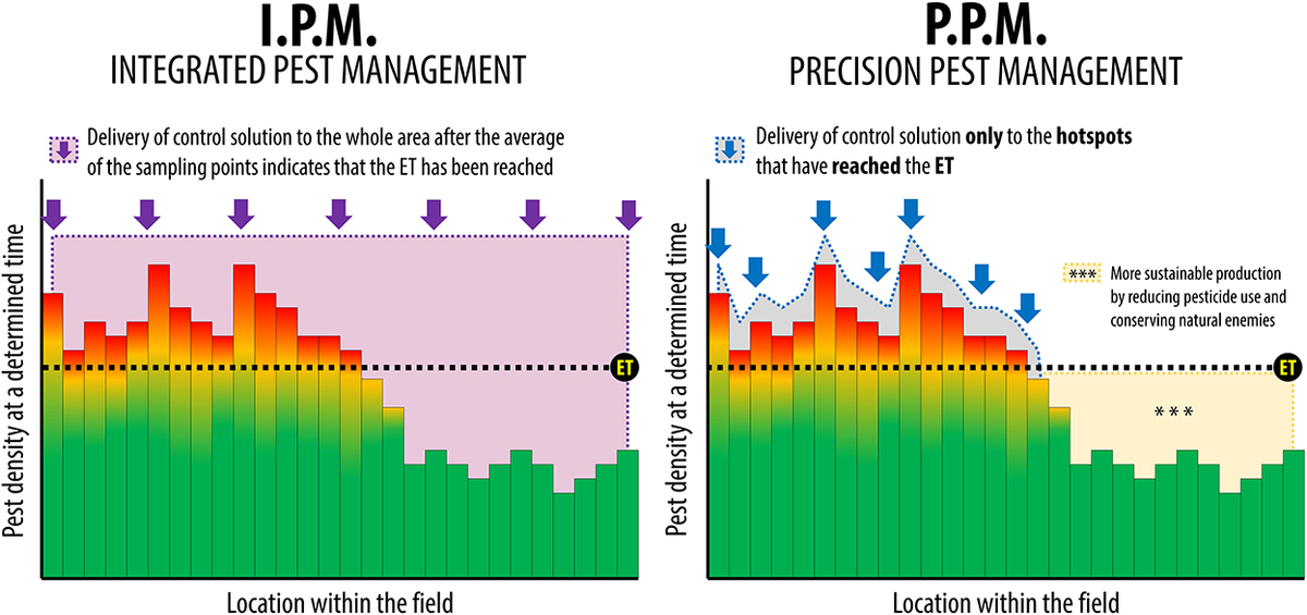 Frontiers | How does the digital transformation of agriculture affect the implementation of ...
