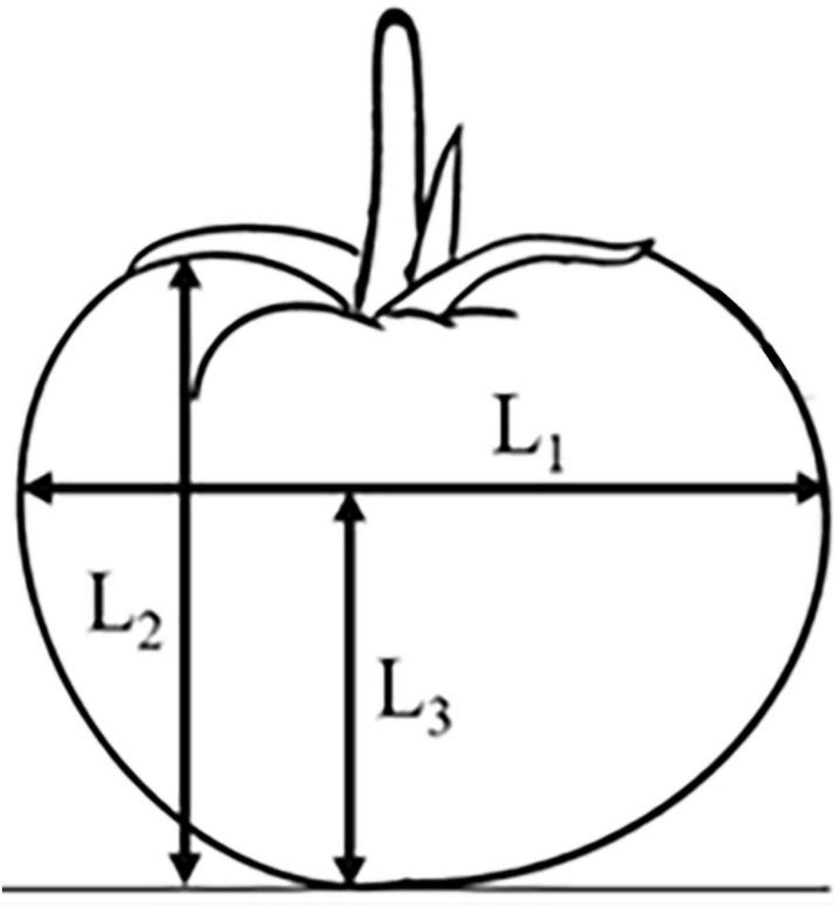 Frontiers | Design and simulation of a gripper structure of cluster ...