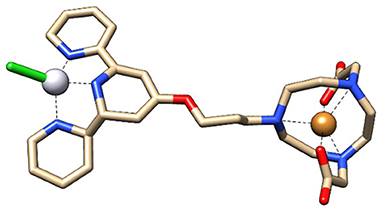 Frontiers | In vivo behavior of [64Cu]NOTA-terpyridine platinum, a ...