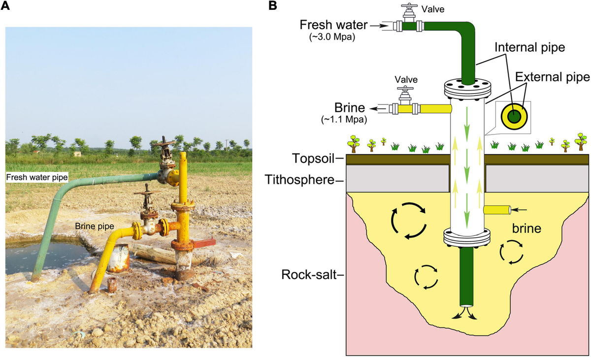 Frontiers | Microbial community structure and shift pattern of industry ...