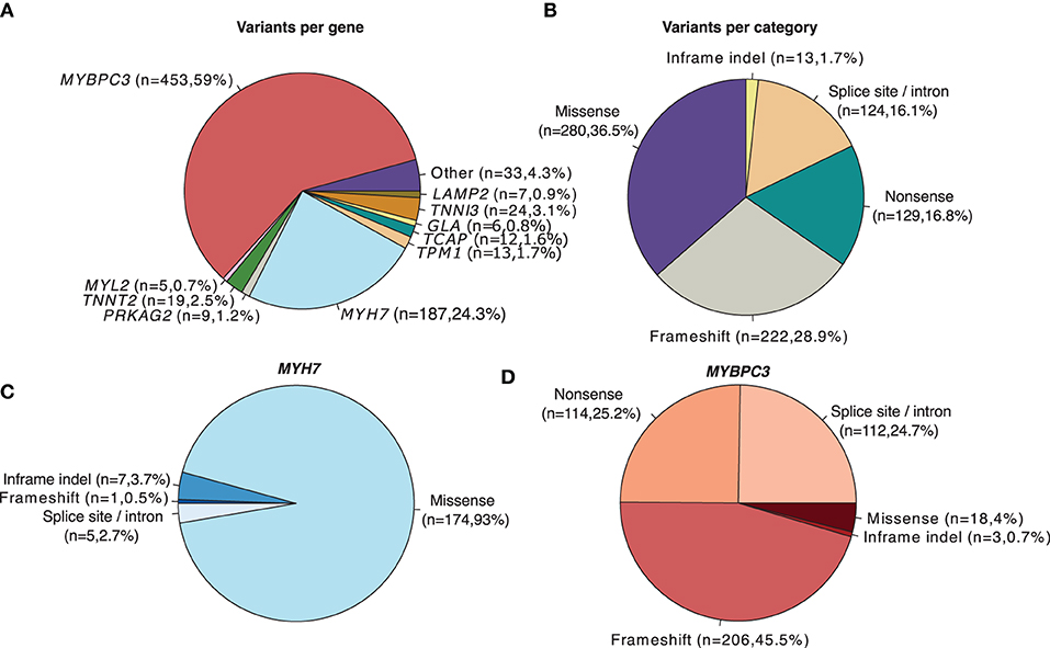 Frontiers | Clinical significance of genetic variation in hypertrophic ...