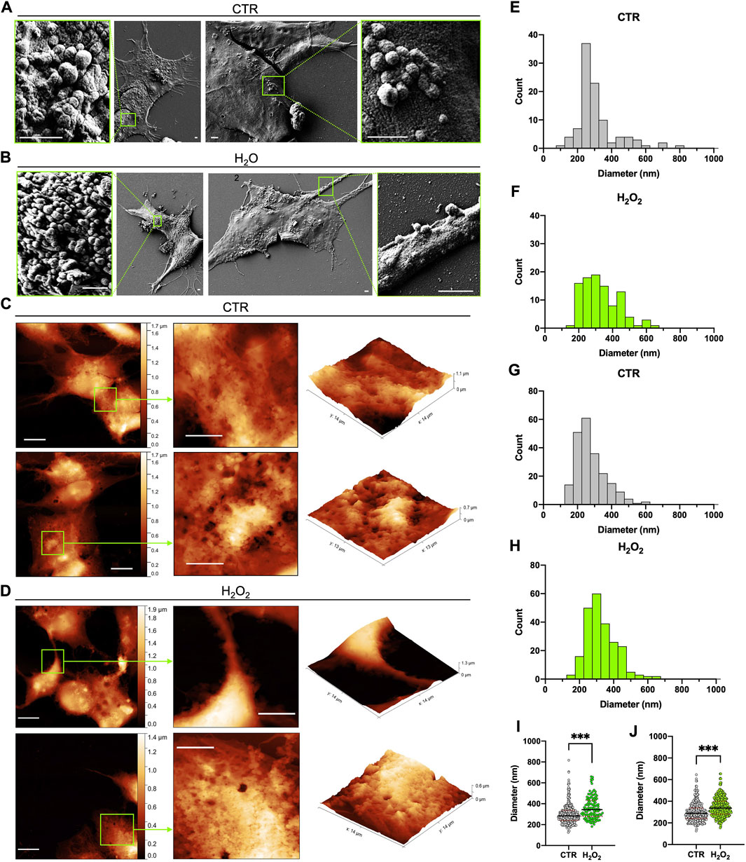 Frontiers | High-resolution atomic force microscopy as a tool for ...