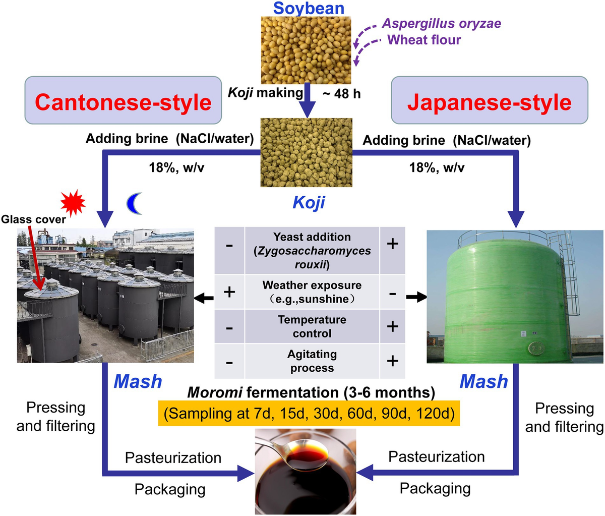 Frontiers | Comparative evaluation of the microbial diversity and ...