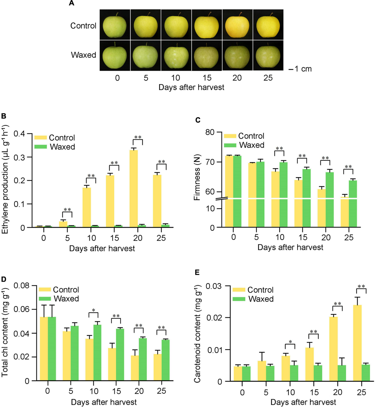 Frontiers | The molecular mechanism on suppression of climacteric fruit ...