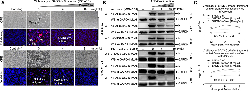 Frontiers | Emodin from Aloe inhibits Swine acute diarrhea Frontiers | Emodin from Aloe inhibits Swine acute diarrhea