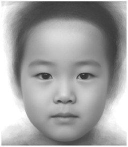 Frontiers | Examination of morphological traits of children's faces ...