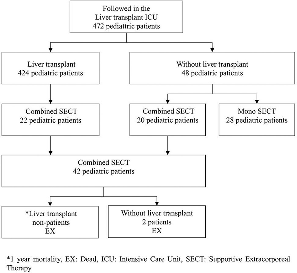 Frontiers | Value of extracorporeal artificial liver support in ...