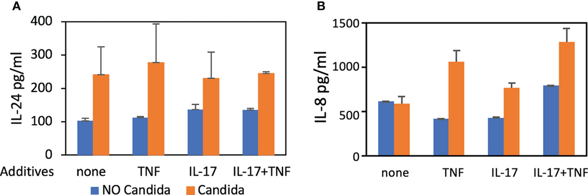 Frontiers | The IL-20RB receptor and the IL-20 signaling pathway in ...