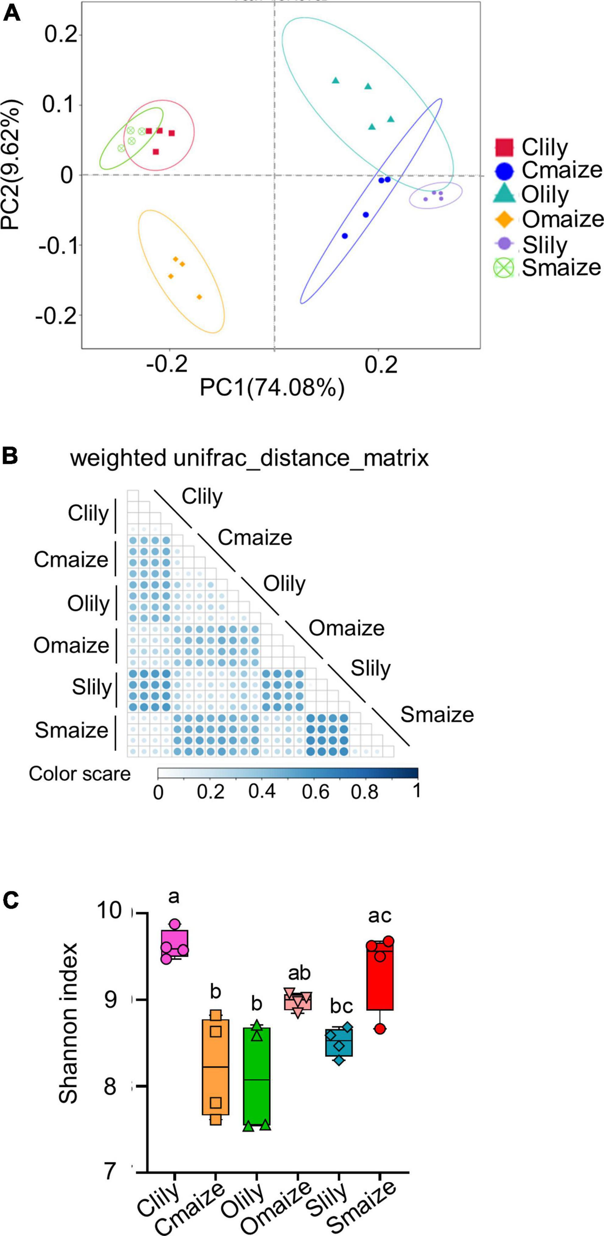 Frontiers | Rhizospheric microbial consortium of Lilium lancifolium ...