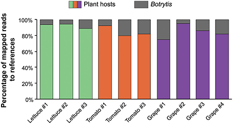 Frontiers | Genome-wide transcriptional profiling of Botrytis cinerea ...
