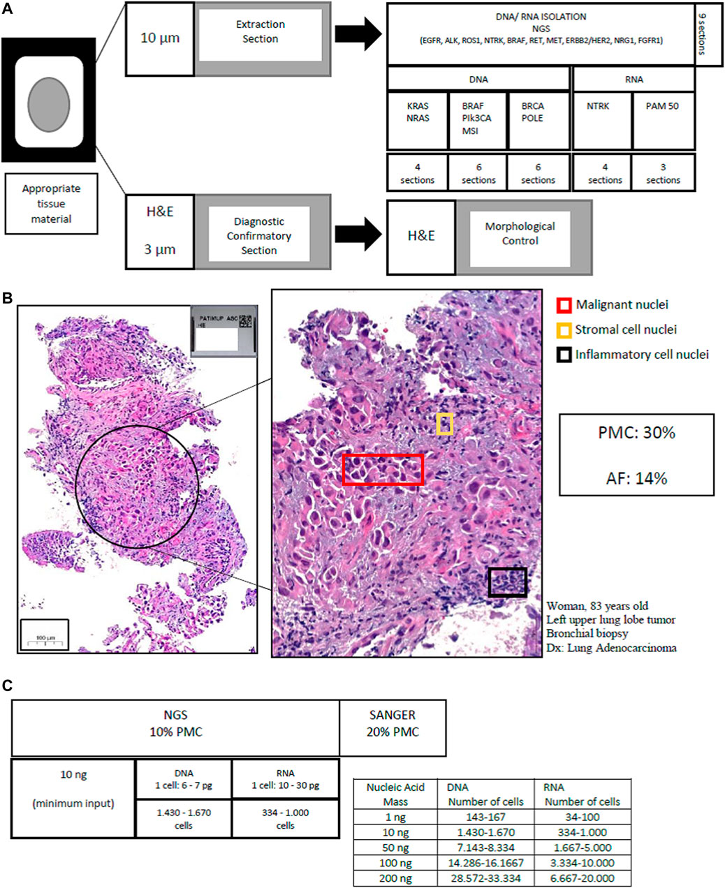 Frontiers | Tissue management in precision medicine: What the ...