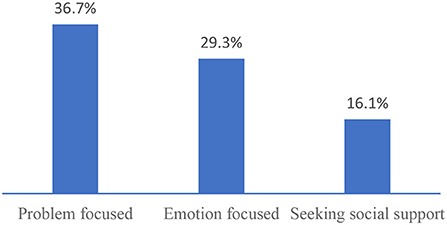 Frontiers | The adverse impact of excessive internet use during the ...