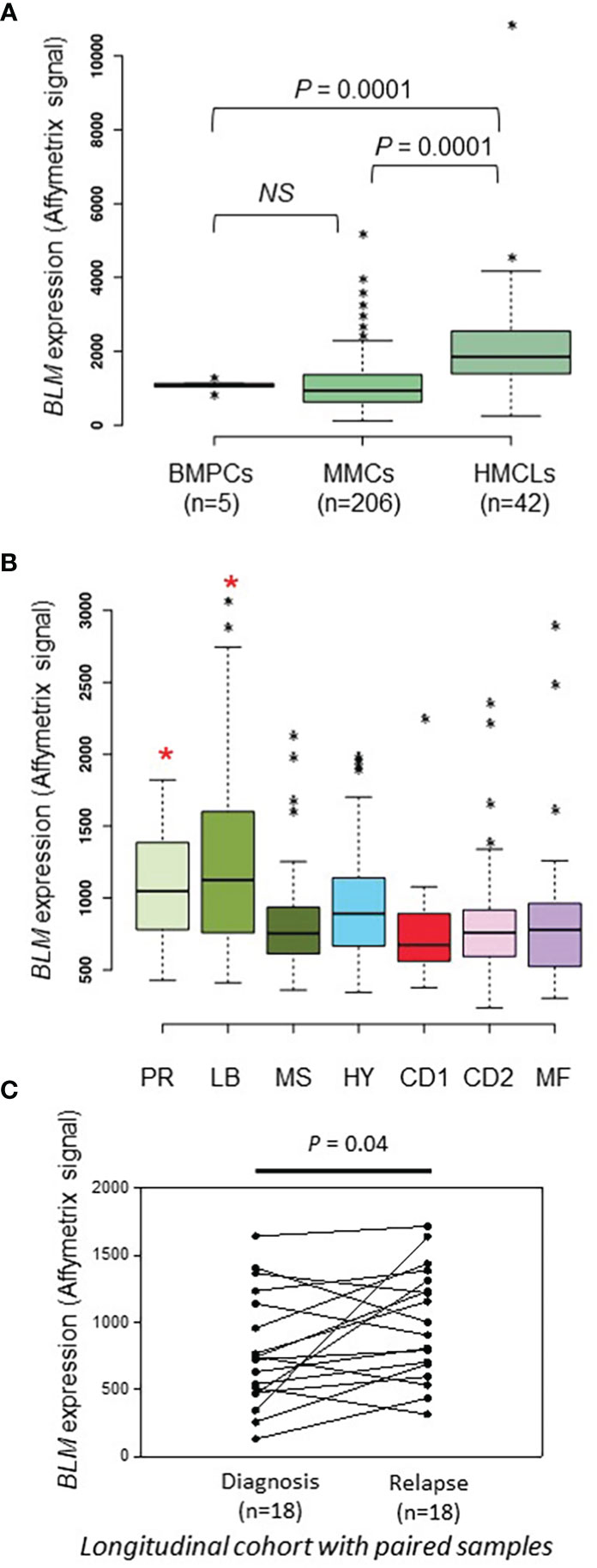 Frontiers | The BLM helicase is a new therapeutic target in multiple ...