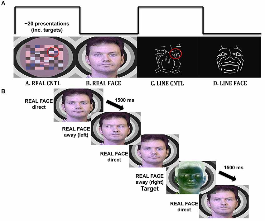 Frontiers | Photographic but not line-drawn faces show early perceptual ...