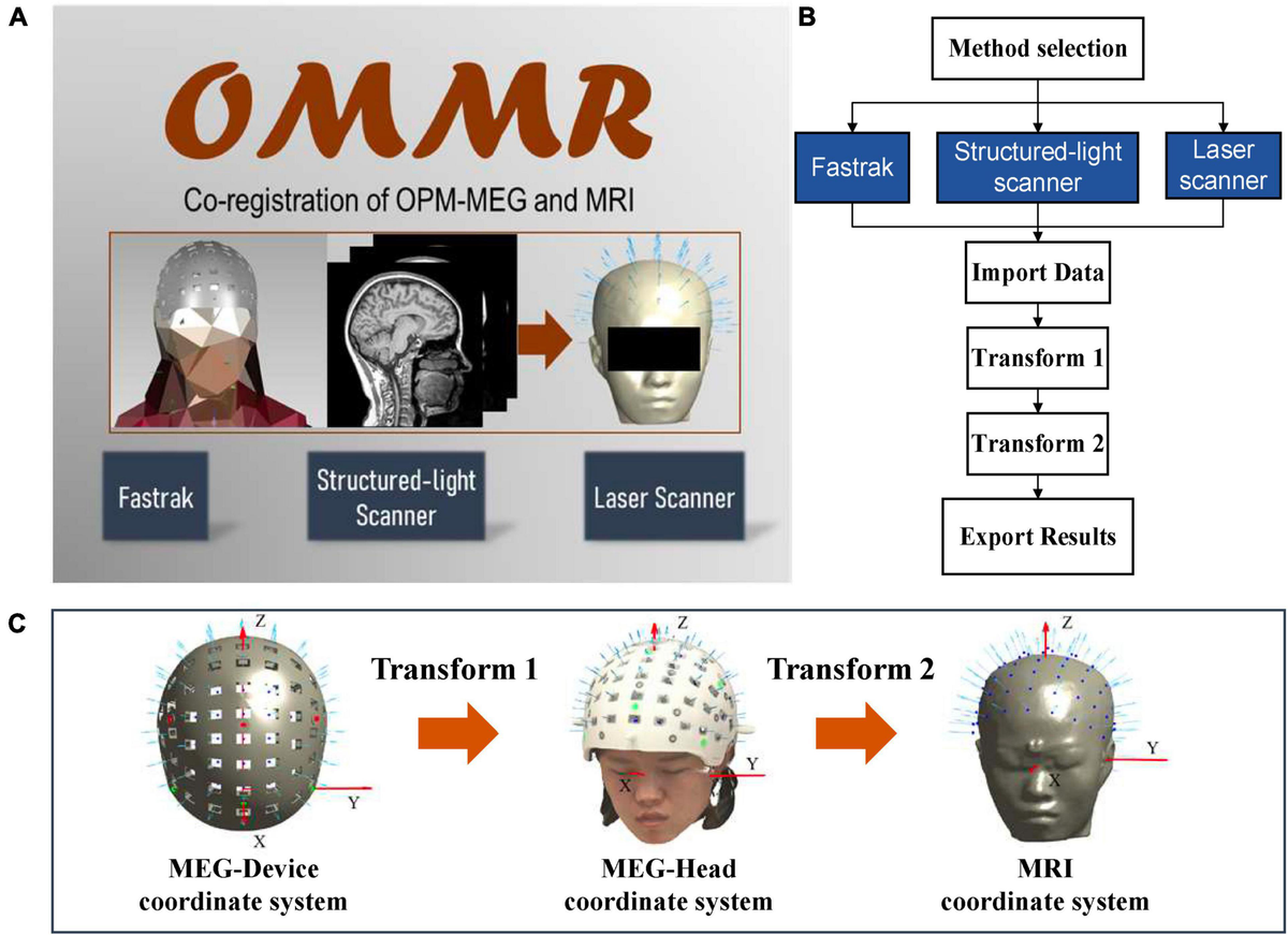 Frontiers | OMMR: Co-registration toolbox of OPM-MEG and MRI