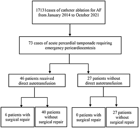Frontiers | Direct autotransfusion in the management of acute ...