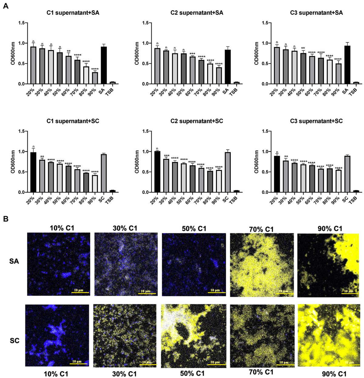 Frontiers | Corynebacterium accolens inhibits Staphylococcus aureus ...