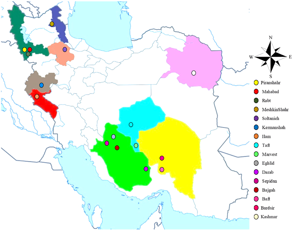Frontiers | Photosynthesis and chlorophyll fluorescence of Iranian ...