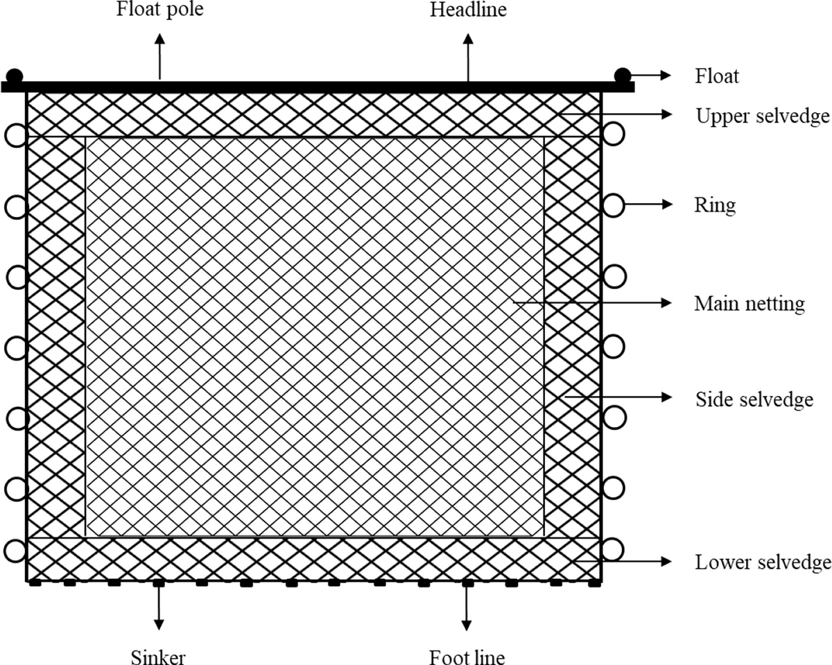 Frontiers | Numerical and experimental investigation on hydrodynamic ...