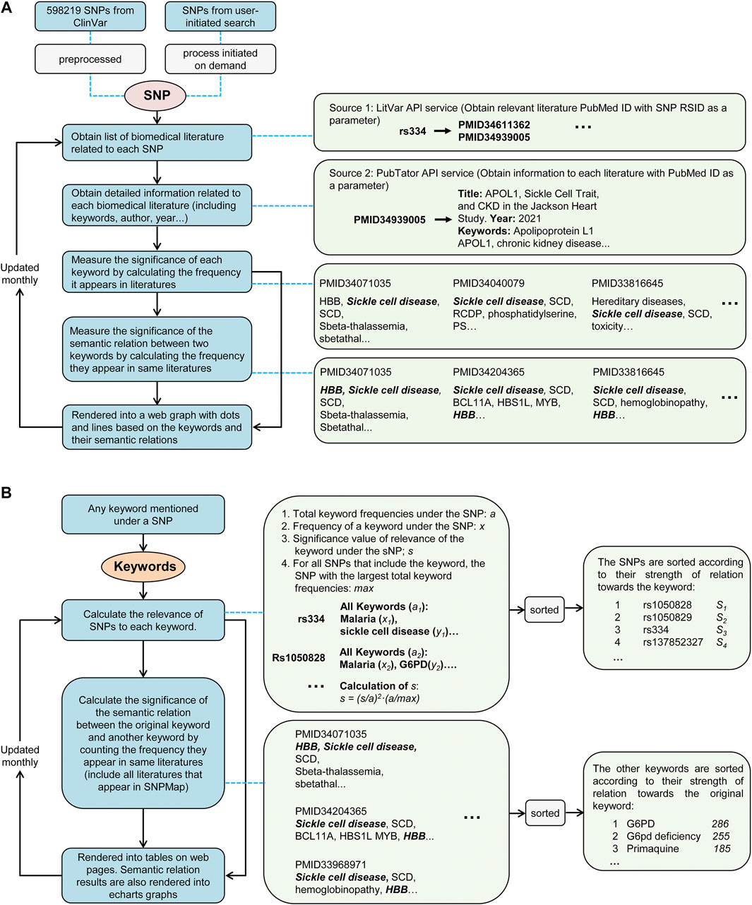 Frontiers | SNPMap—An integrated visual SNP interpretation tool