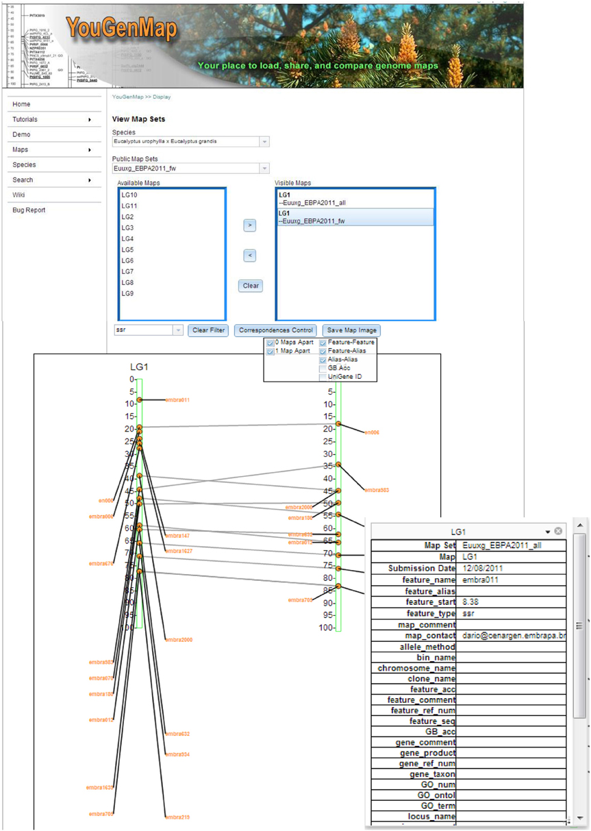 Frontiers | YouGenMap: a web platform for dynamic multi-comparative ...