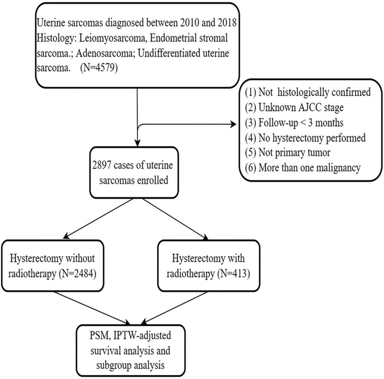 Frontiers | The role of postoperative radiotherapy in patients with uterine sarcomas: A PSM-IPTW ...