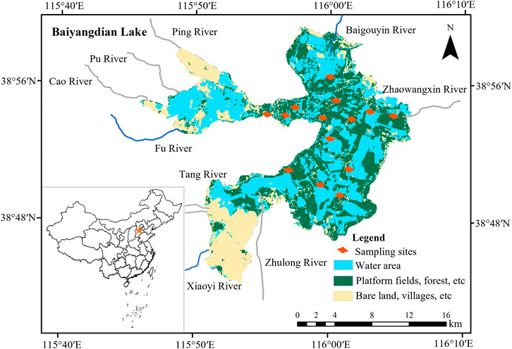 Frontiers | Temporal changes of the food web structure and function driven by changes in ...