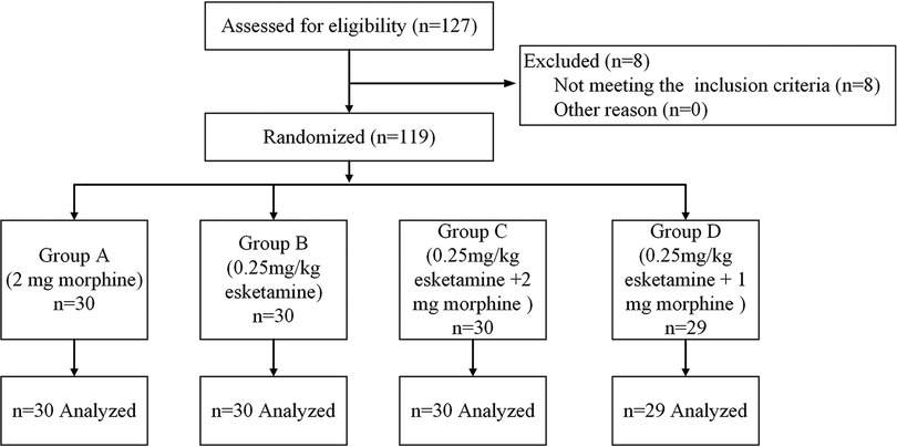 Frontiers | Epidural esketamine and morphine for postoperative ...