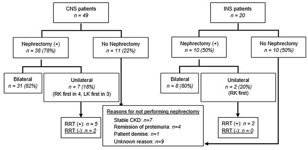 Frontiers | Clinical presentation and management of nephrotic syndrome ...