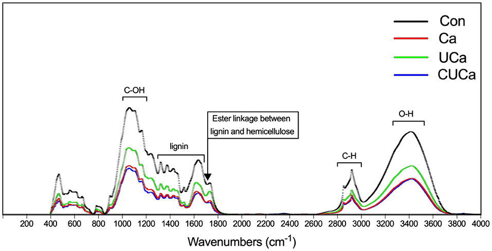 Frontiers | Biodegradation and hydrolysis of rice straw with corn steep ...