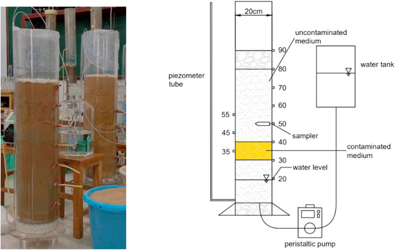 Frontiers | Soil column experiment and numerical simulation research of ...
