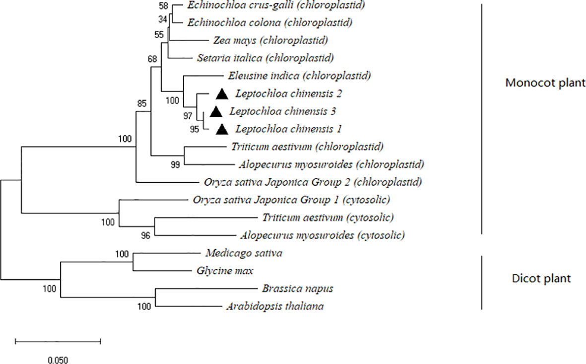 Frontiers | Diverse mechanisms associated with cyhalofop-butyl ...