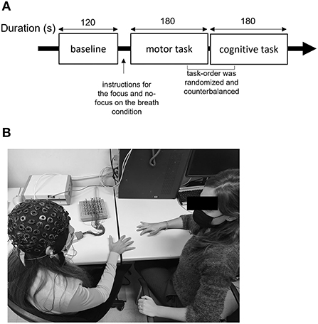 Frontiers | EEG brain oscillations are modulated by interoception in response to a synchronized ...