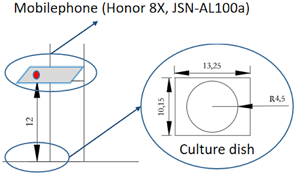 Frontiers | Correlation of steam explosion severity with morphological ...