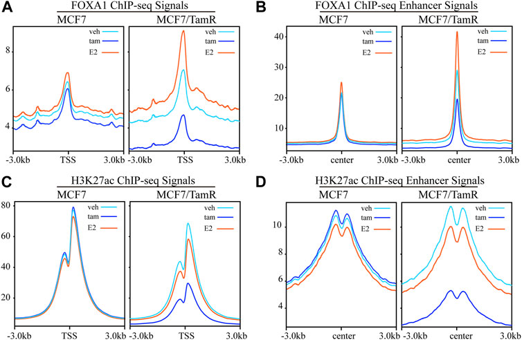 Frontiers | Genome-wide analysis of the FOXA1 transcriptional ...