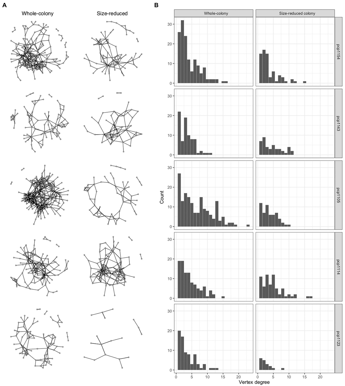 Frontiers | Scaling of ant colony interaction networks