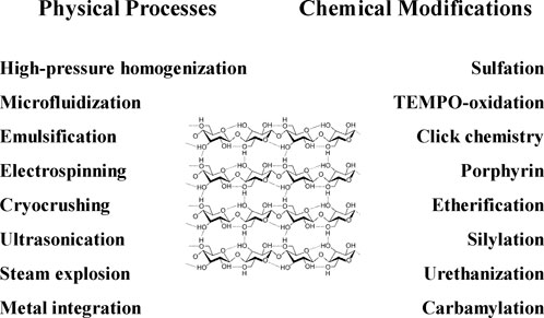 Frontiers | Modifications of cellulose-based biomaterials for ...