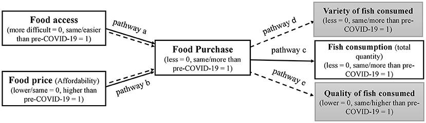 Frontiers | How did the COVID-19 pandemic affect food environment, food ...