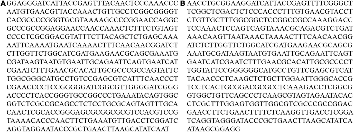 Frontiers | Efficacy of the biocontrol agent Trichoderma hamatum ...