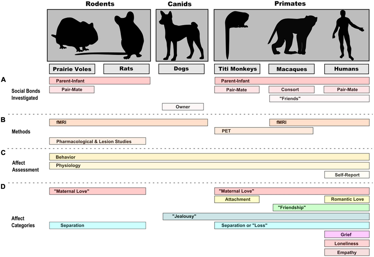 Frontiers | Neuroimaging of human and non-human animal emotion and ...