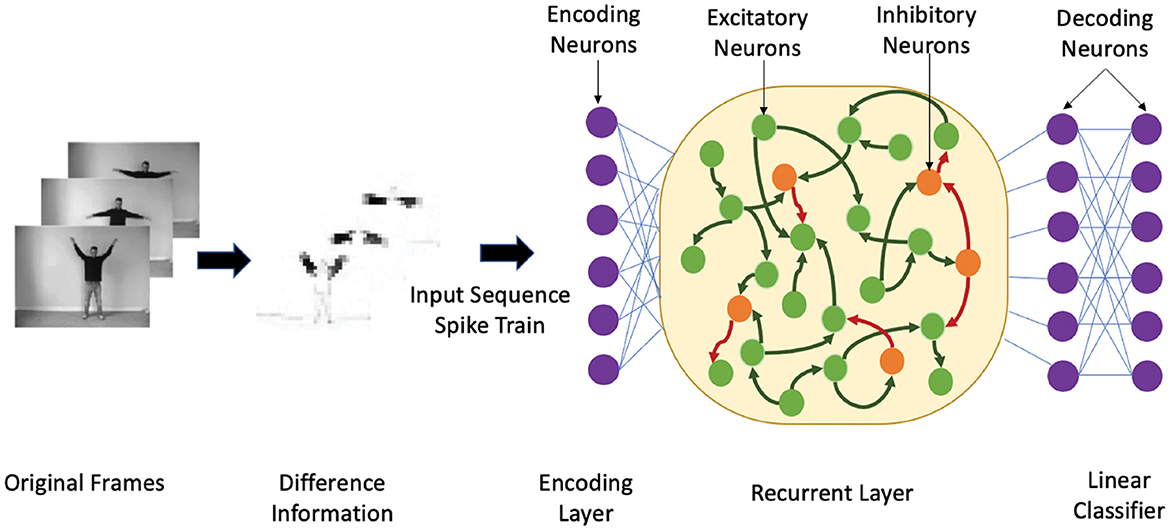 Frontiers | Heterogeneous recurrent spiking neural network for spatio-temporal classification