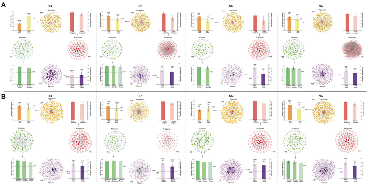 Frontiers | Disentangling leaf-microbiome interactions in Arabidopsis thaliana by network mapping