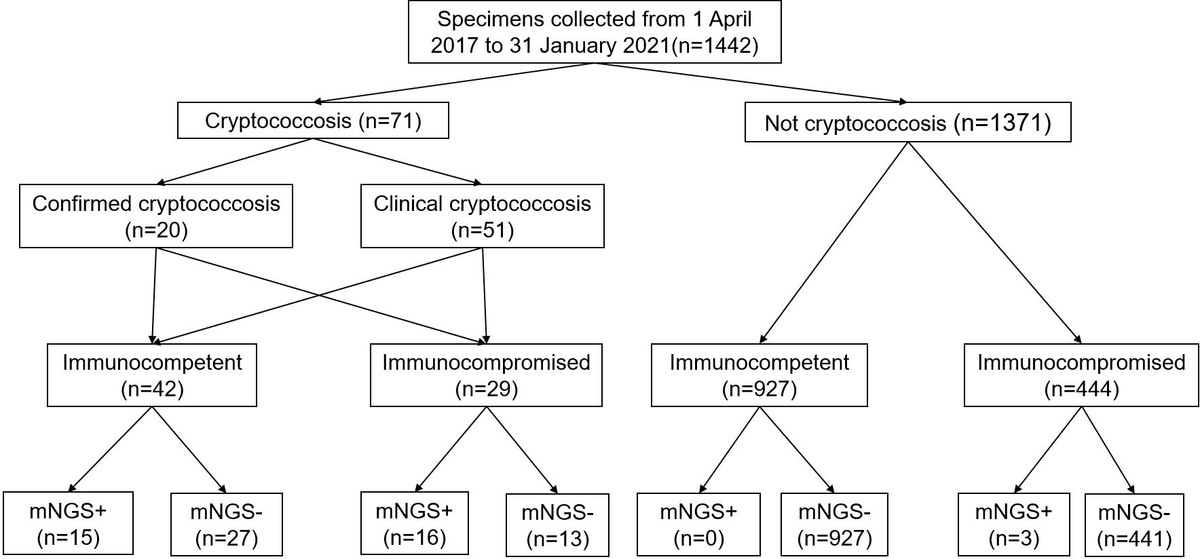 Frontiers | Diagnostic accuracy of metagenomic next-generation ...