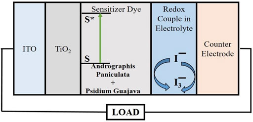 Frontiers | Efficiency enhancement of natural cocktail dyes in a TiO2 ...