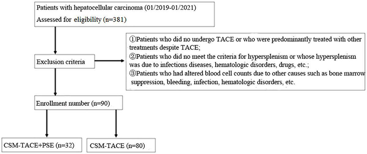 Frontiers | Simultaneous CSM‐TACE with CalliSpheres® and partial ...