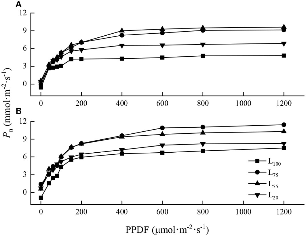 Frontiers | Effect of light intensities on the photosynthesis, growth ...