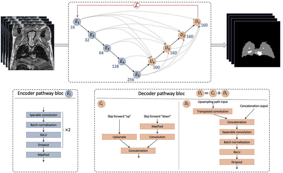 Frontiers | Deep learning model for automatic segmentation of lungs and ...