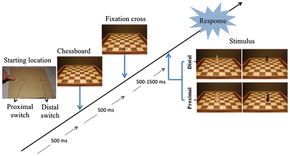 stimulus response bond